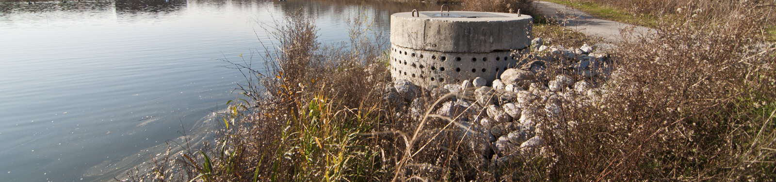 Park Stormwater Management Retrofit | Well Initiatives Limited